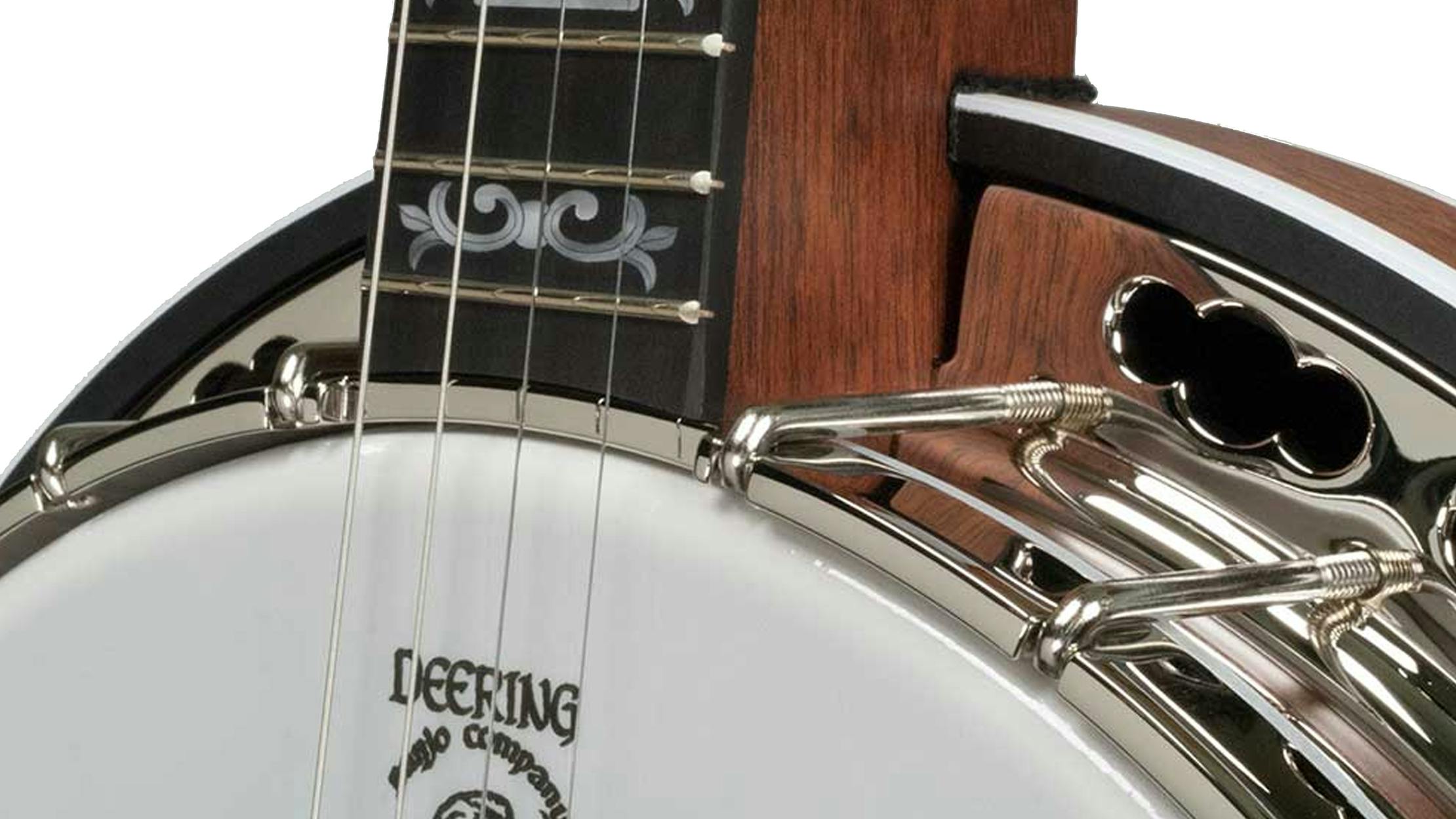 4 String Tenor Banjos Buying Guide