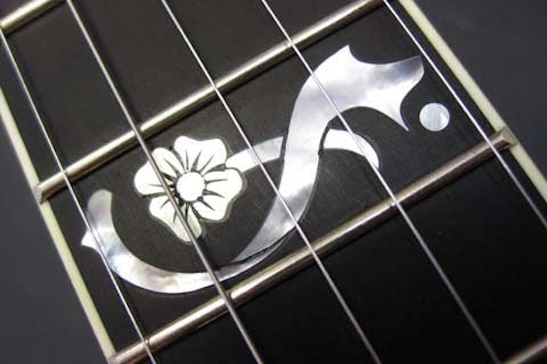 Banjo Parts Defined | All the parts of the banjo explained by Eagle ...