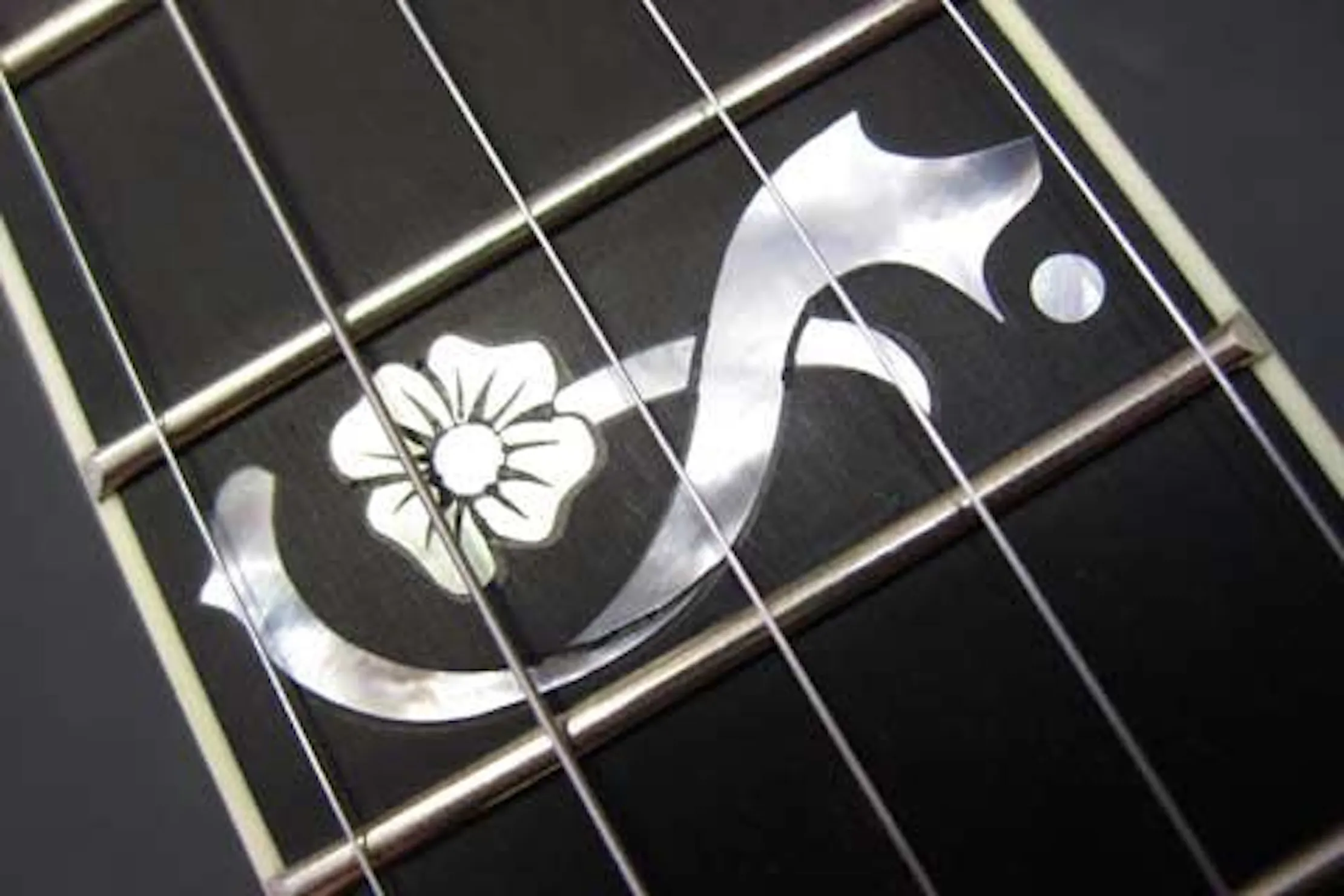Banjo Parts Defined | All the parts of the banjo explained by Eagle ...