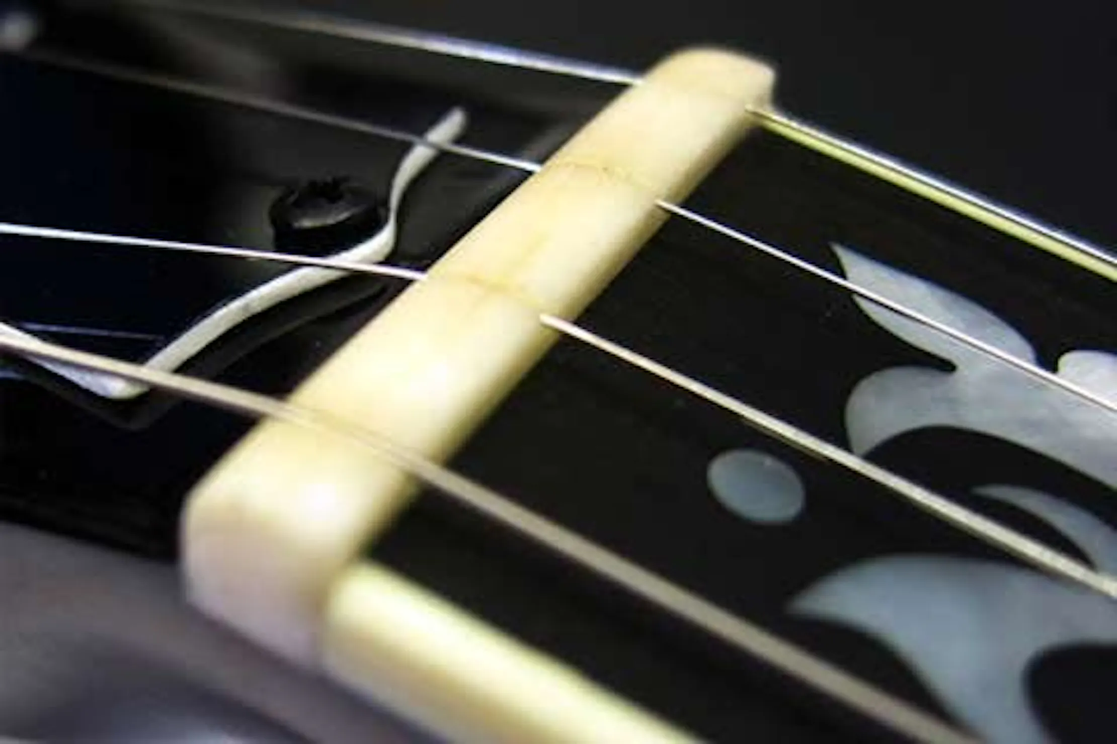Banjo Parts Defined | All the parts of the banjo explained by Eagle ...