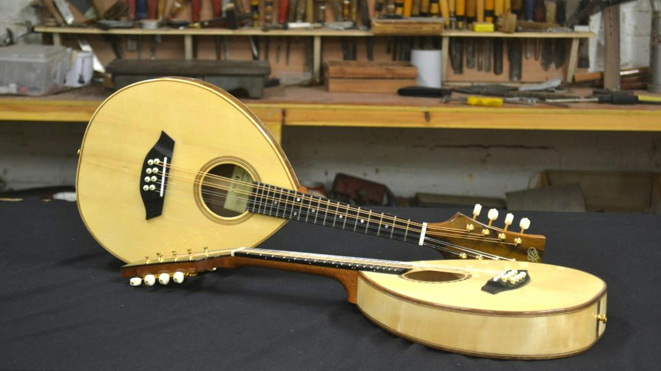 Mandolin Family Buying Guide