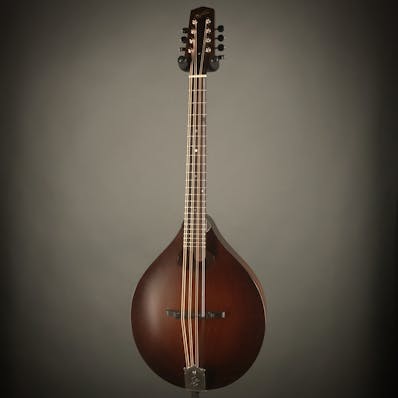 Octave mandolas at Eagle Music Shop, models from Davidson, Erin, Ozark.