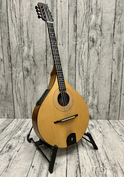 Octave mandolas at Eagle Music Shop, models from Davidson, Erin, Ozark.