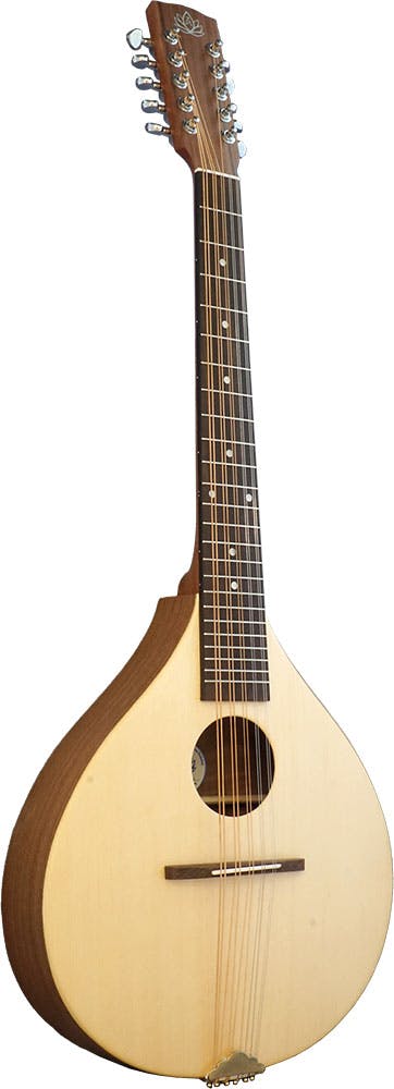 Ashbury Rathlin 10 String Cittern