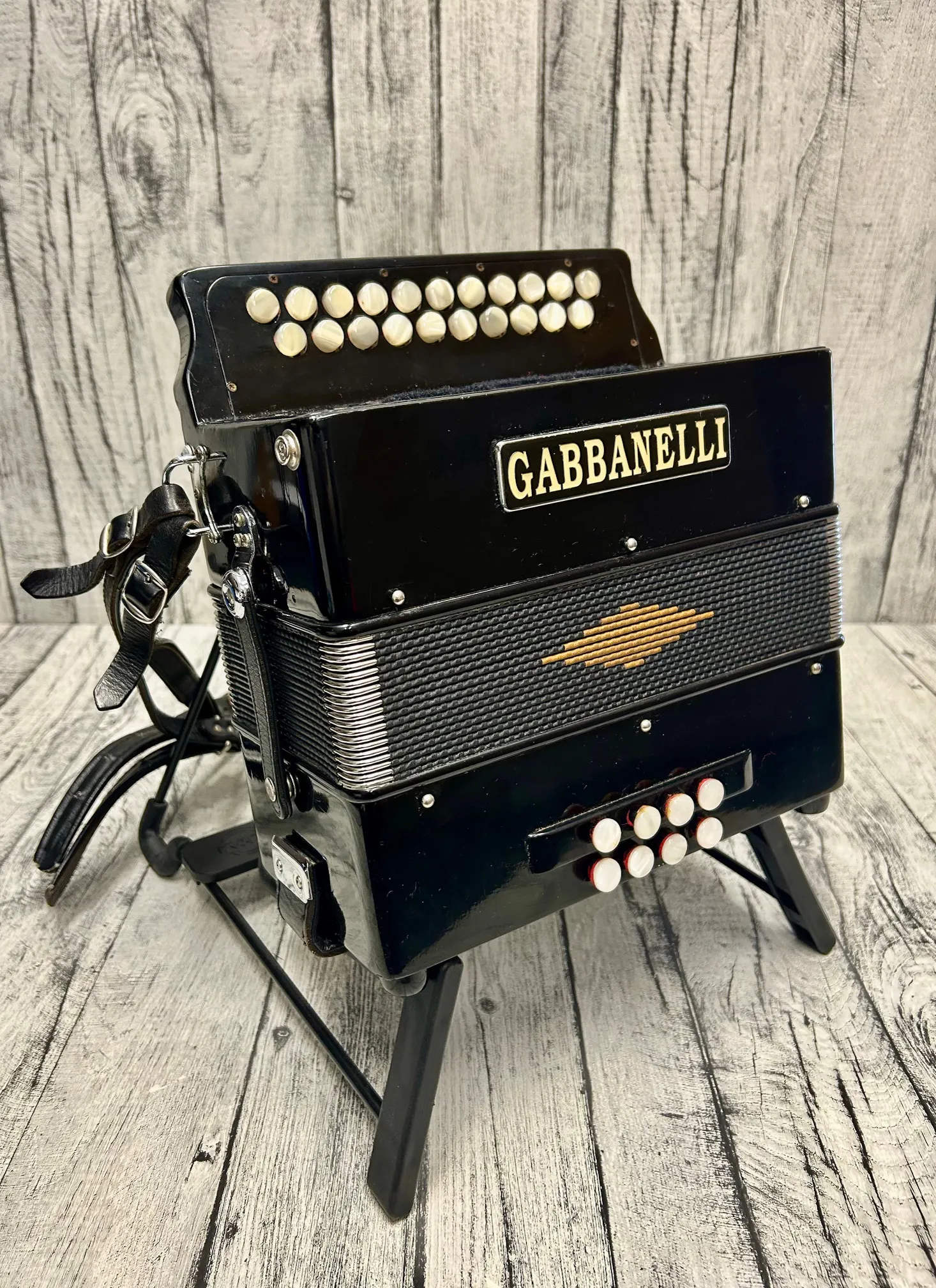 Gabbanelli Pocket Melodeon in D/G with Hard Case #2 - Commission Sale