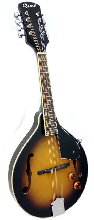 Mandolins from Eastman, Weber, Prucha, Davidson, Gold Tone, Ozark, Erin ...