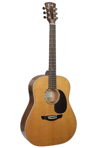 Faith Guitars at Eagle Music Shop