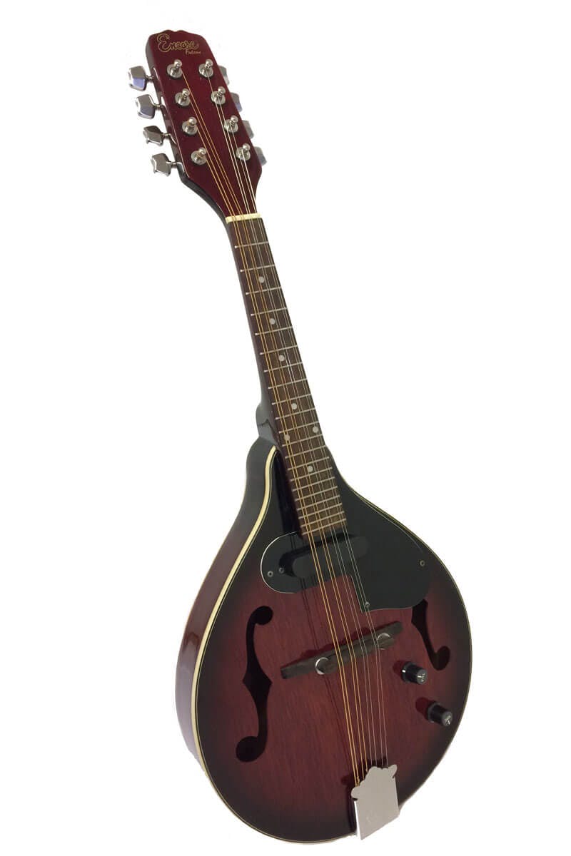 Encore Electro Acoustic Mandolin with Hard Case