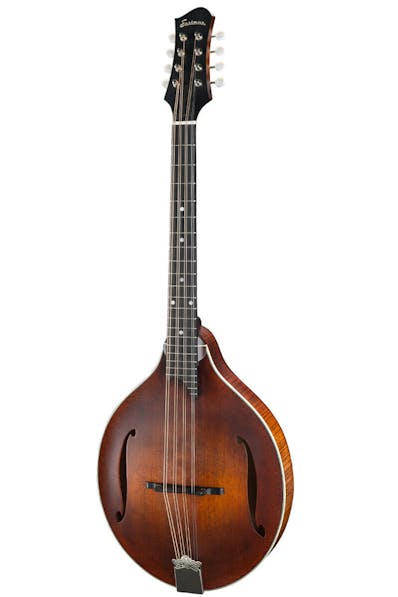 Octave mandolas at Eagle Music Shop, models from Davidson, Erin, Ozark.