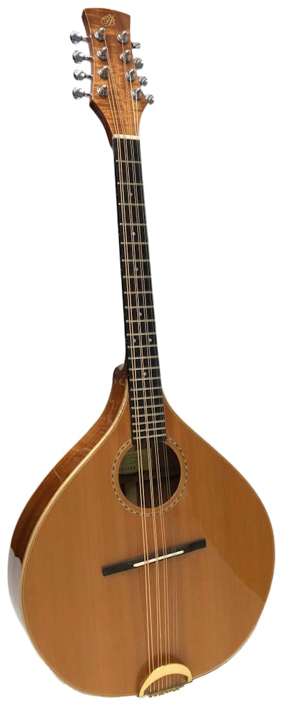 Octave mandolas at Eagle Music Shop, models from Davidson, Erin, Ozark.