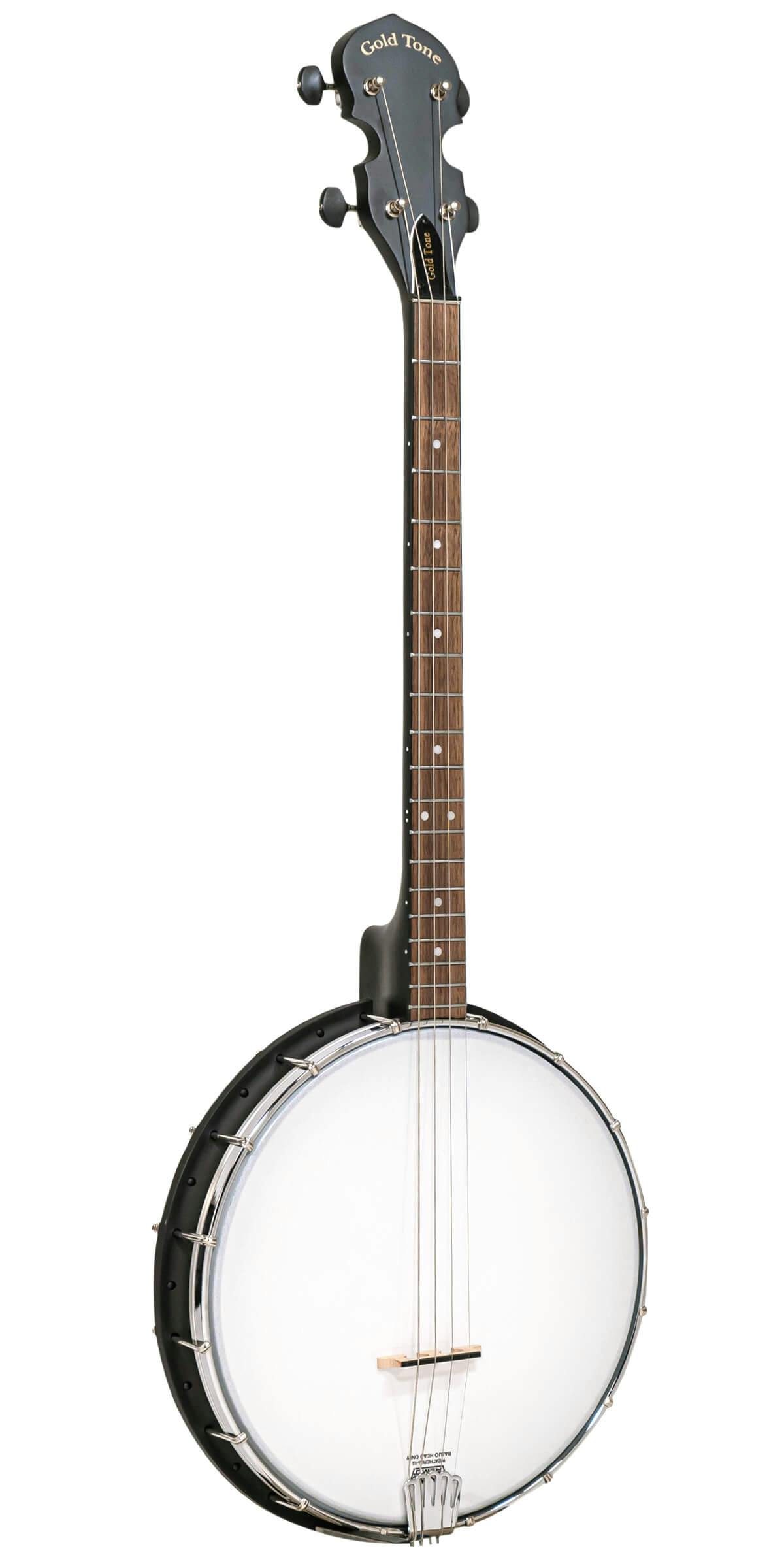 AC-4 Acoustic Composite 19 Fret 4-String Openback Tenor Banjo