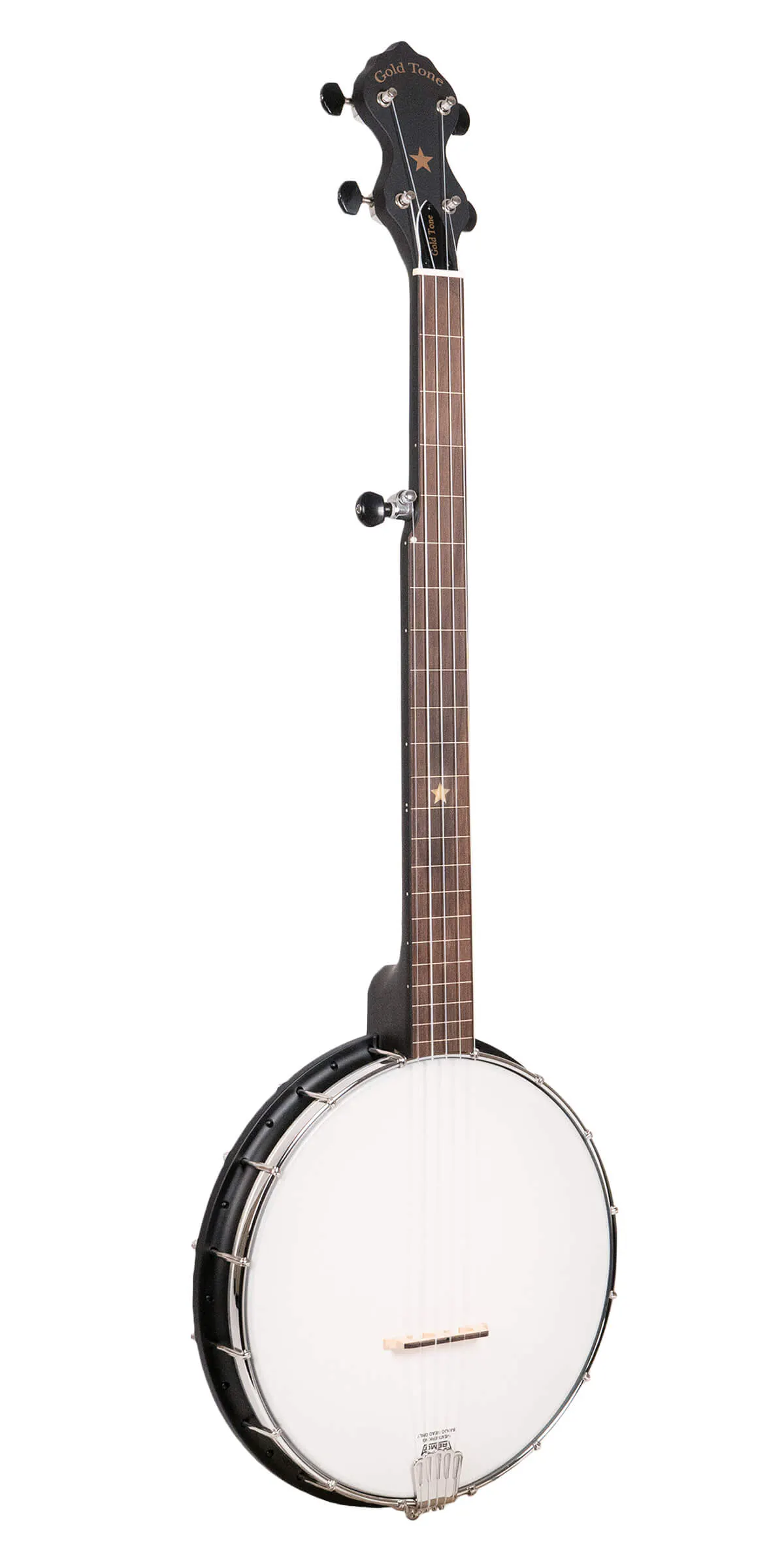 AC-1FL Acoustic Composite 5-String Fretless Openback Banjo